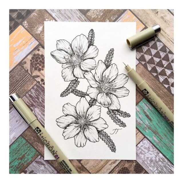 Estilógrafo de Dibujo Sakura Pigma Micron - Negro - 01 - Librería IRBE Bolivia